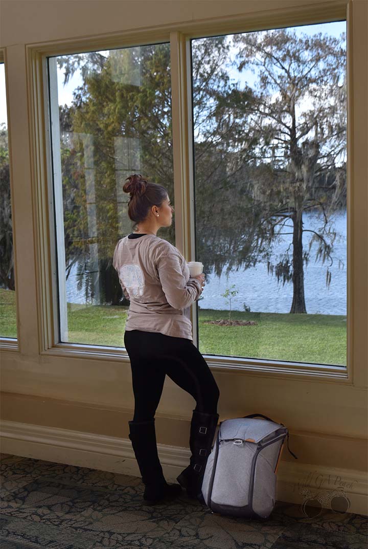 A new Journey – Wild GA Peach